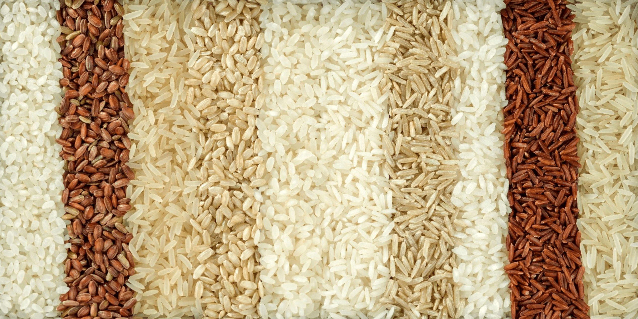 Home - VP & SP EXPORT IMPORT